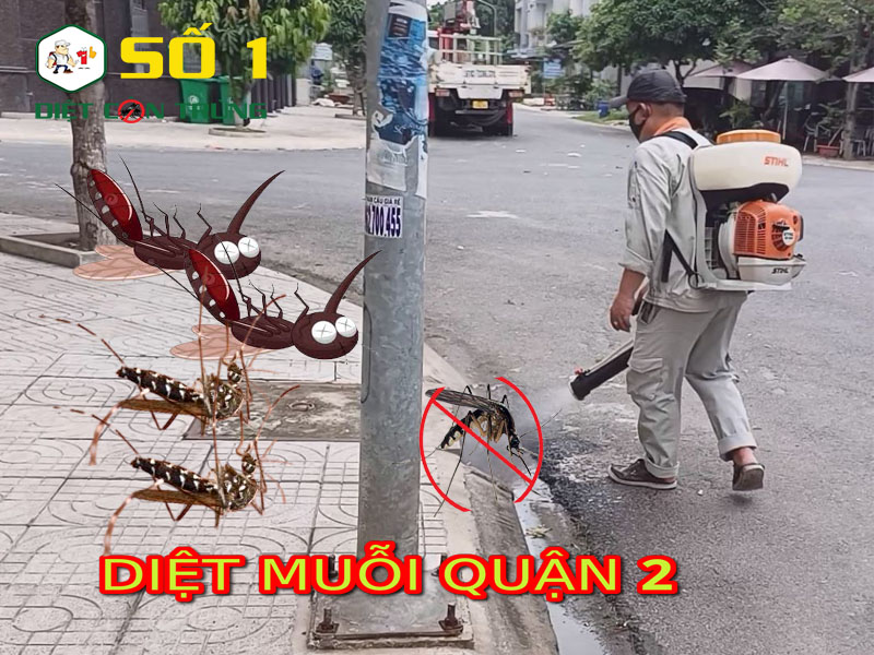 DIỆT MUỖI QUẬN 2 - CÔNG TY DIỆT MUỖI QUẬN 2 - DIỆT CÔN TRÙNG SỐ 1