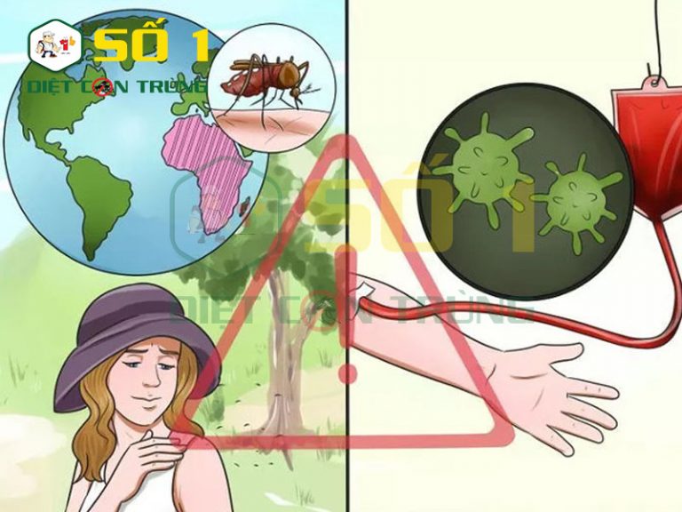 diệt muỗi quận 4 - DIỆT CÔN TRÙNG SỐ 1