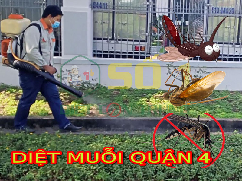 diệt muỗi quận 4 - DIỆT CÔN TRÙNG SỐ 1