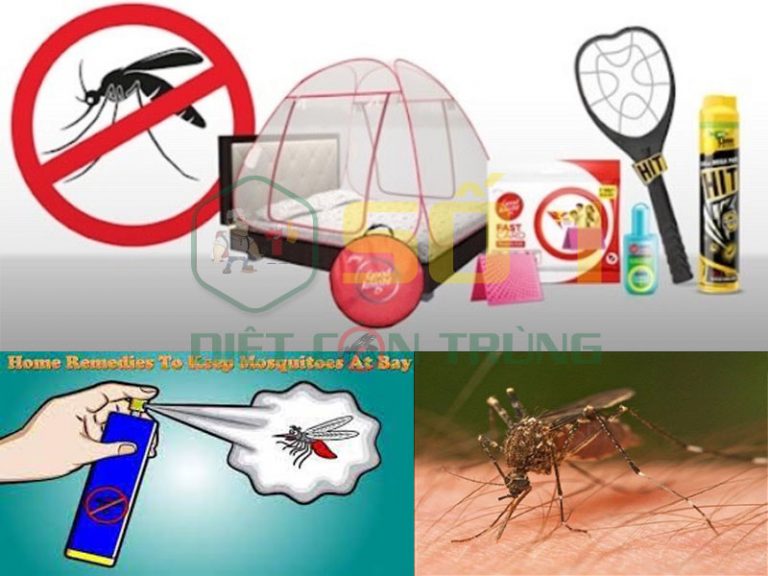diệt muỗi quận 5 - DIỆT CÔN TRÙNG SỐ 1