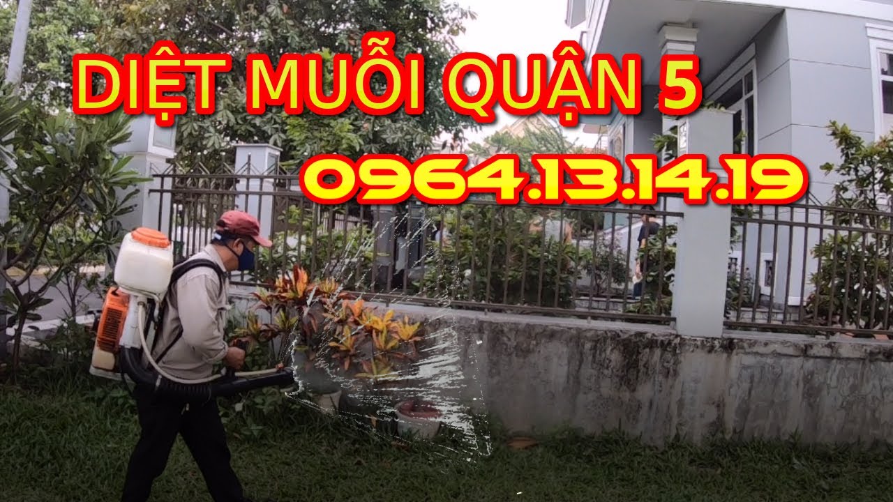 diệt muỗi quận 5 - DIỆT CÔN TRÙNG SỐ 1
