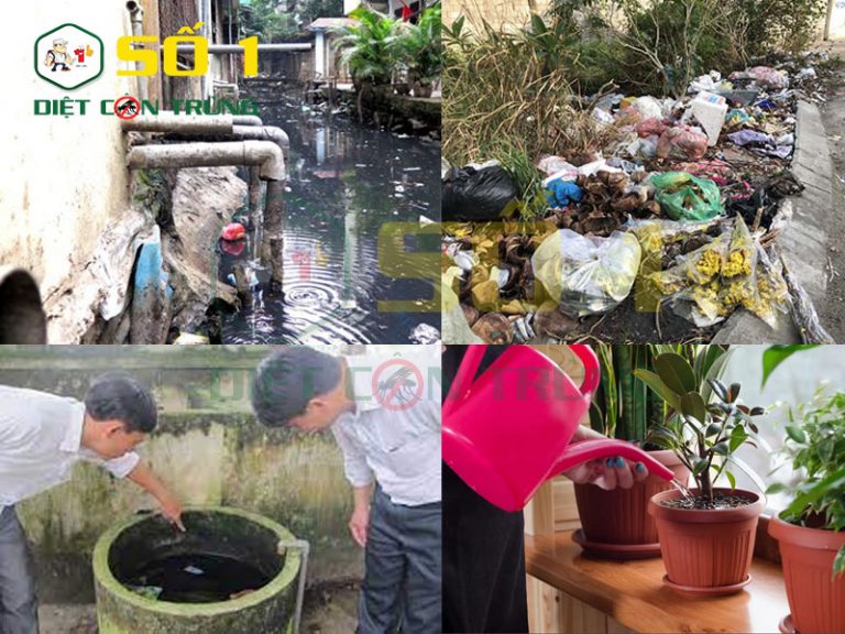 diệt muỗi quận bình thạnh - DIỆT CÔN TRÙNG SỐ 1